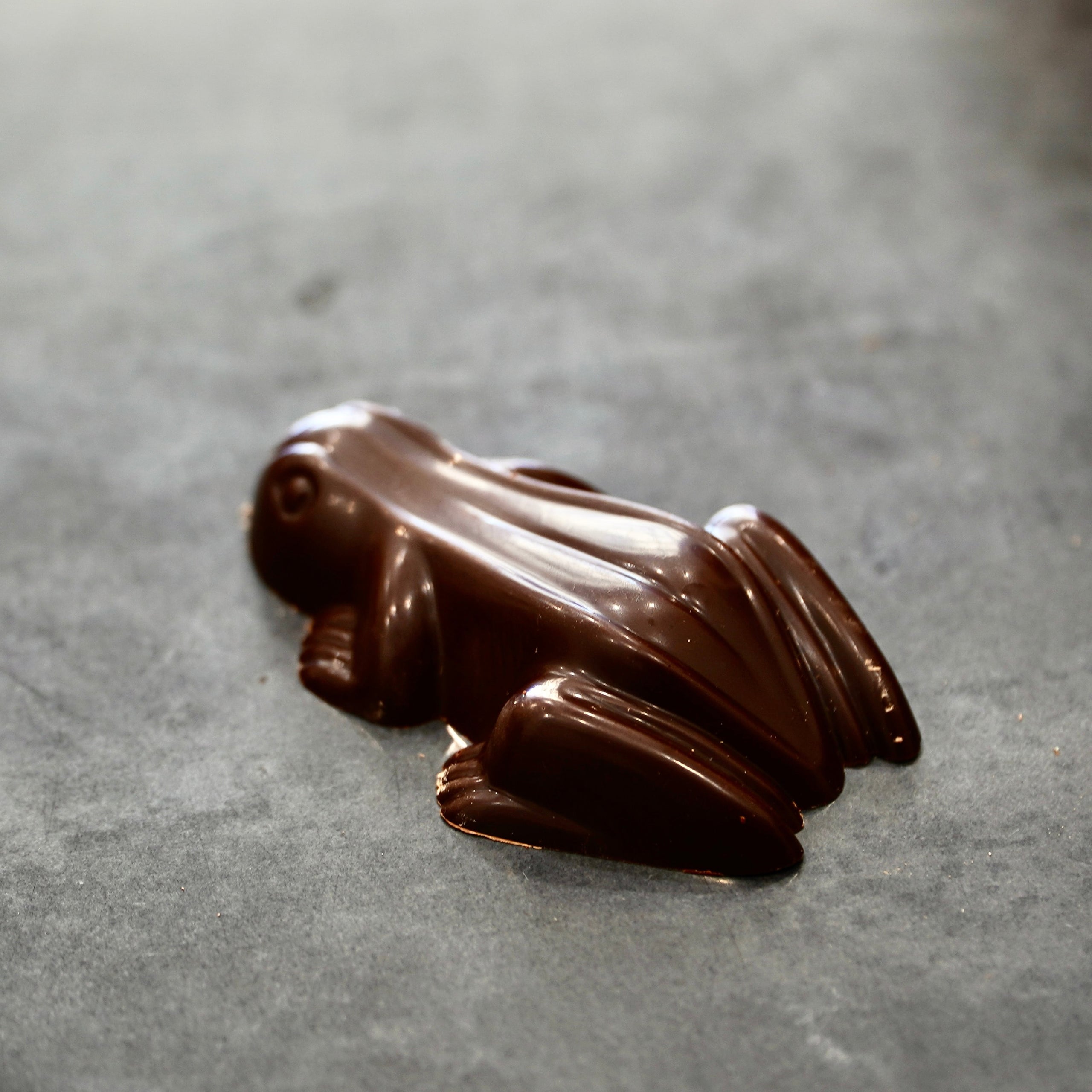 Choc Frog - Dark 62% (Big) | Cabosse & Feve Chocolates