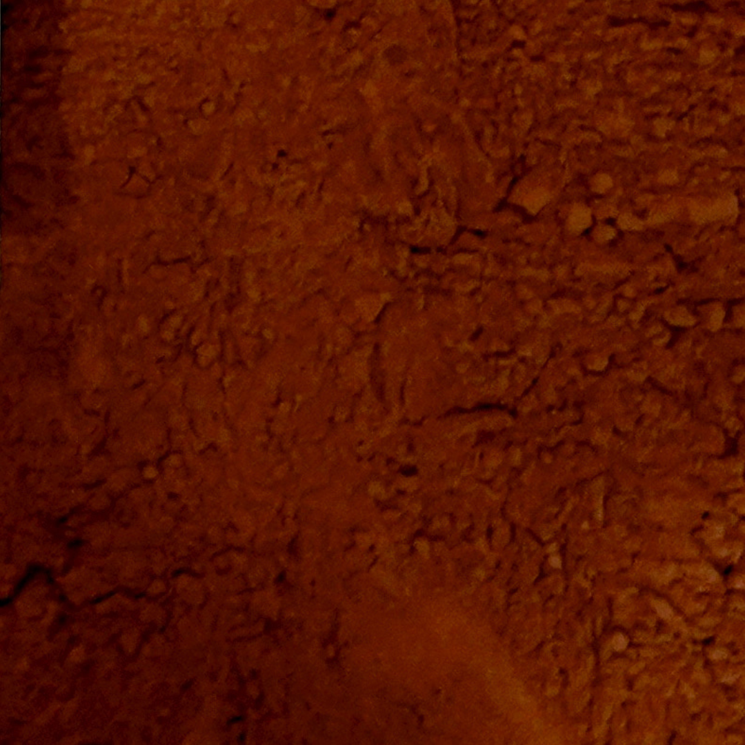 Pure Cocoa Powder | Cabosse & Feve Chocolates